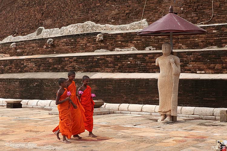 斯里兰卡文化三角地带遗址多到崩溃，三座古城游摄攻略送给你（上）