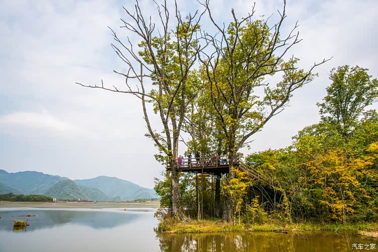 国庆探秘“华中屋脊”神农架