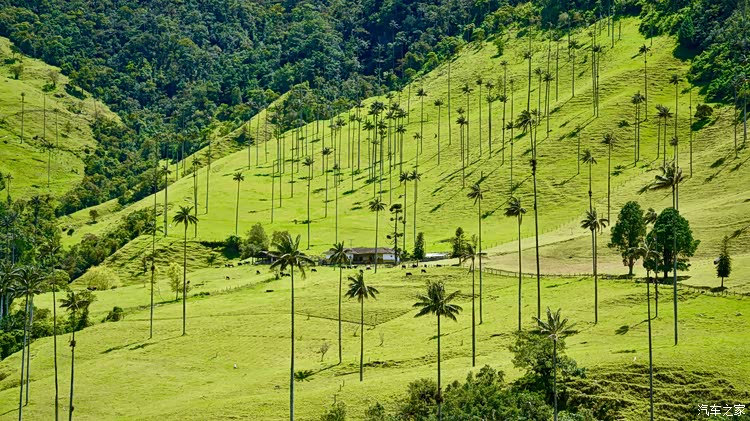 七天探访哥伦比亚精华，小众南美醇香之旅